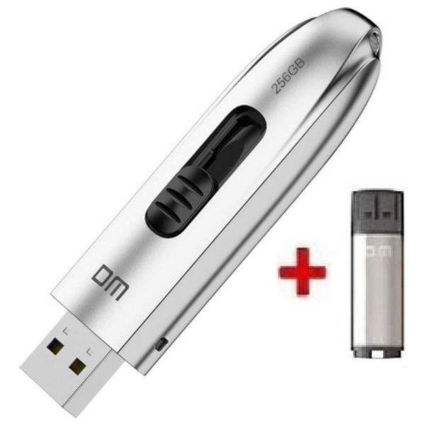 Elryan: DM FS220 - 256GB - USB Flash Drive - Silver + USB Flash Drive