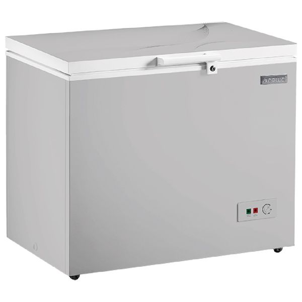 Elryan: Newal FRZ-9227 - 12ft - Chest Freezer - Gray
